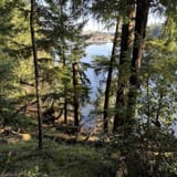 Bon Tempe Lake Loop, California - 2,083 Reviews, Map | AllTrails