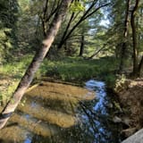 Bon Tempe Lake Loop, California - 2,083 Reviews, Map | AllTrails