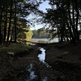 Bon Tempe Lake Loop, California - 2,083 Reviews, Map | AllTrails