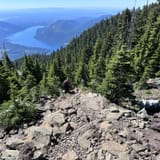 Mount Ellinor Trail, Washington - 2,759 Reviews, Map | AllTrails