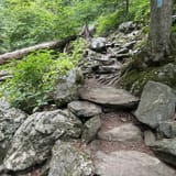 South River Falls Trail and South River Fire Road Loop, Virginia ...