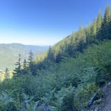 Ira Spring Memorial Trail, Washington - 2,335 Reviews, Map | AllTrails