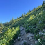 Ira Spring Memorial Trail, Washington - 2,321 Reviews, Map | AllTrails