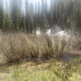 Packsaddle Lake, Idaho - 227 Reviews, Map | AllTrails