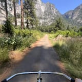 Sentinel Meadow Cook's Meadow Loop Trail, California - 3,765 Reviews ...