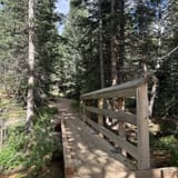 Raspberry Mountain Trail via Ring the Peak Trail, Colorado - 1,892 ...