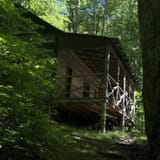 Jakes Creek Trail to Avent Cabin, Tennessee - 926 Reviews, Map | AllTrails