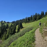 Excelsior Pass Trail, Washington - 668 Reviews, Map | AllTrails