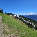 Excelsior Pass Trail, Washington - 668 Reviews, Map | AllTrails