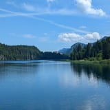 Alpsee Loop, Bavaria, Germany - 290 Reviews, Map | AllTrails