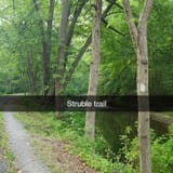 Struble Trail, Pennsylvania - 1,085 Reviews, Map | AllTrails