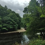 Hackfall Explorer, North Yorkshire, England - 428 Reviews, Map | AllTrails