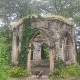 Hackfall Explorer, North Yorkshire, England - 428 Reviews, Map | AllTrails