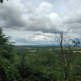Hackfall Explorer, North Yorkshire, England - 428 Reviews, Map | AllTrails