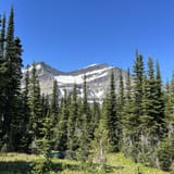 Piegan Pass, Montana - 18 Reviews, Map | AllTrails
