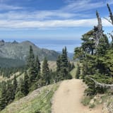 Sunrise View Point via High Ridge Nature Trail, Washington - 952 ...
