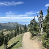 Sunrise View Point via High Ridge Nature Trail, Washington - 952 ...