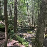 Stevens Glen Trail, Massachusetts - 402 Reviews, Map | AllTrails