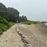Bluff Point State Park and Coastal Reserve Loop, Connecticut - 4,022 ...