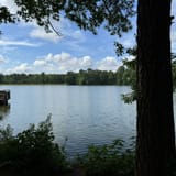 Lake Pine Loop, North Carolina - 1,291 Reviews, Map | AllTrails