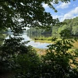Lake Pine Loop, North Carolina - 1,291 Reviews, Map | AllTrails