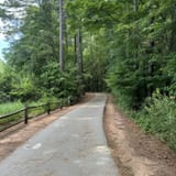 Lake Pine Loop, North Carolina - 1,291 Reviews, Map | AllTrails