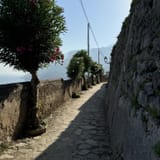 Path of the Lemons, Campania, Italy - 585 Reviews, Map | AllTrails