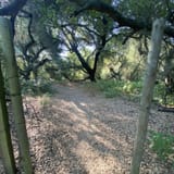 Vernal Pool Trail and Transpreserve Trail Loop, California - 428 ...