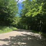 Belknap Mountain Trail, New Hampshire - 154 Reviews, Map | AllTrails