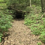 Tantiusques Loop, Massachusetts - 96 Reviews, Map | AllTrails