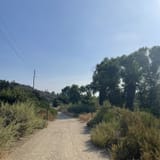 Rice Canyon Trail, California - 985 Reviews, Map | AllTrails