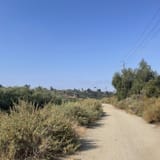 Rice Canyon Trail, California - 985 Reviews, Map | AllTrails