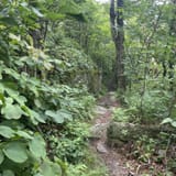 Spruce Hill via Hoosac Range Trail, Massachusetts - 616 Reviews, Map ...