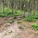Killington Peak via Bucklin Trail, Vermont - 1,981 Reviews, Map | AllTrails