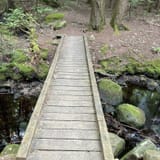 Catamount Hill Trail and One Mile Trail Loop, New Hampshire - 648 ...