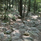 Catamount Hill Trail and One Mile Trail Loop, New Hampshire - 648 ...