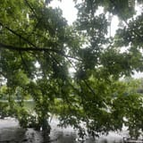 Core Arboretum Loop, West Virginia - 275 Reviews, Map | AllTrails