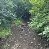 Amethyst Cove Trail, Nova Scotia, Canada - 315 Reviews, Map | AllTrails