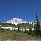 Myrtle Falls Viewpoint via Skyline Trail, Washington - 4,496 Reviews ...
