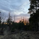 Ice Cave via Blue Ridge Cave Trail No. 608, Arizona - 525 Reviews, Map ...