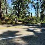 Washington Park Loop, Oregon - 1,790 Reviews, Map | AllTrails