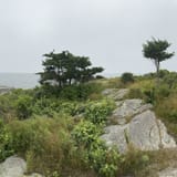 Sachuest Point National Wildlife Refuge Trail, Rhode Island - 2,040 ...