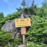 Presidential Traverse Trail, New Hampshire - 1,653 Reviews, Map | AllTrails