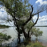 Spring Creek Trail, Oklahoma - 946 Reviews, Map | AllTrails