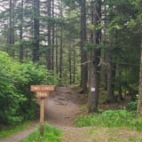 Two Lakes Trail, Alaska - 550 Reviews, Map | AllTrails