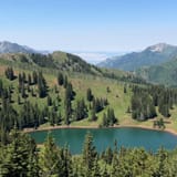 Wasatch Crest Trail, Utah - 363 Reviews, Map | AllTrails