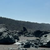 Blacklock Point Trail, Oregon - 411 Reviews, Map | AllTrails