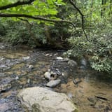 Big Berea Trail, Bull Creek Trail, and White Pine Loop, North Carolina ...