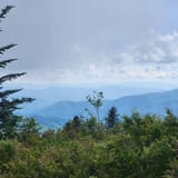 Andrews Bald Trail, North Carolina - 2,641 Reviews, Map | AllTrails