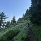 Iron Mountain Trail, Oregon - 595 Reviews, Map | AllTrails